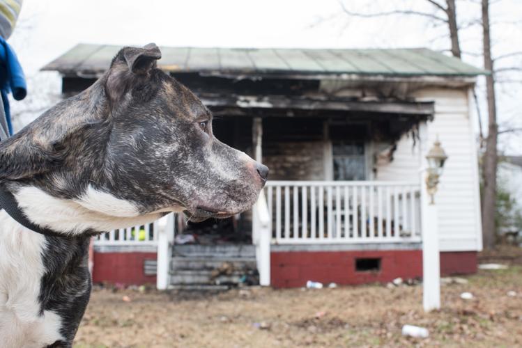 Dog saves Ayden family from early morning fire | Crime | reflector.com