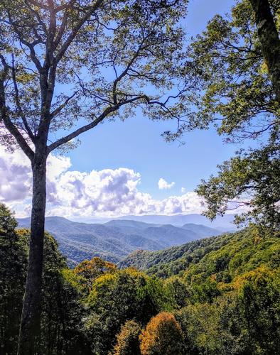 Oct. 23 Community News | Local News | reflector.com