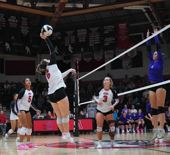 Viking Volleyball splits two home contests | APG State News | reflector.com