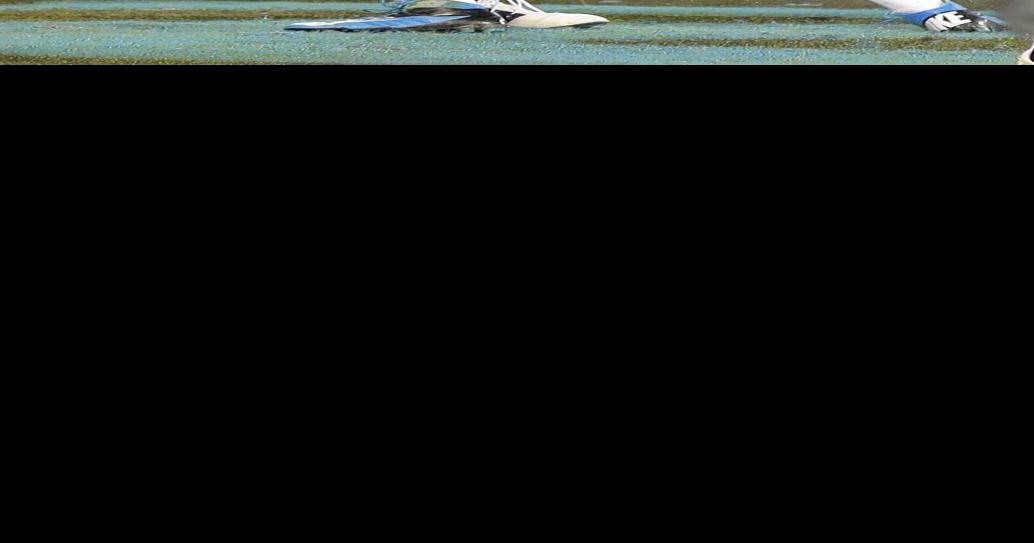 Panthers beat patriots in disputed finish | Local News | reflector.com