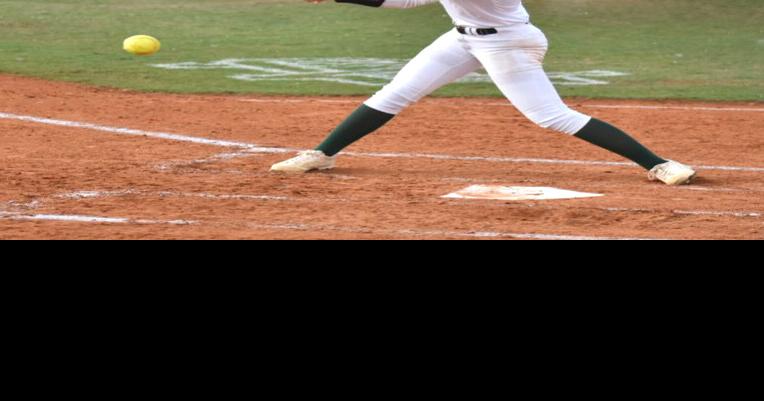 20-area softball players make all-district; Armstrong and Higginbotham ...