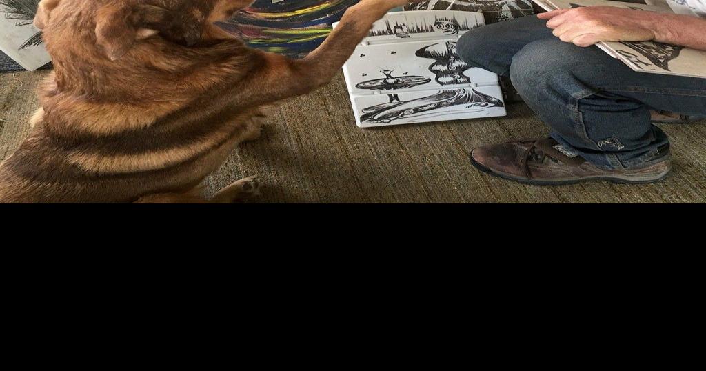 ‘Starving artist’ sells sketches to fund dog rescue | | reflector.com