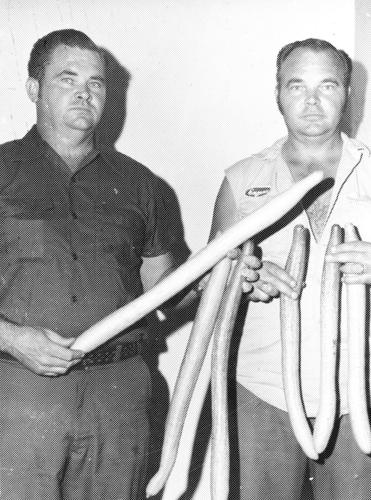 Looking Back ... The Last 100 Years | Features | reflector.com