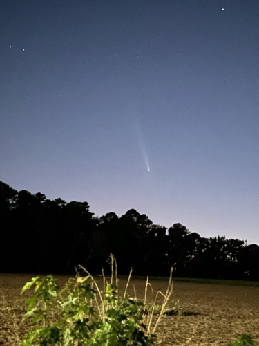Joy Moses-Hall: Time to recall the most visual comet of all | Feature Columnist | reflector.com