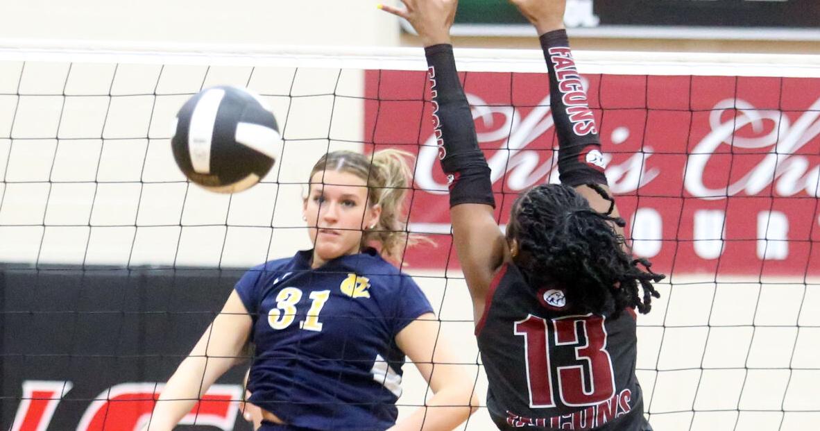 High school roundup: Vikings volleyball extends winning streak to nine ...