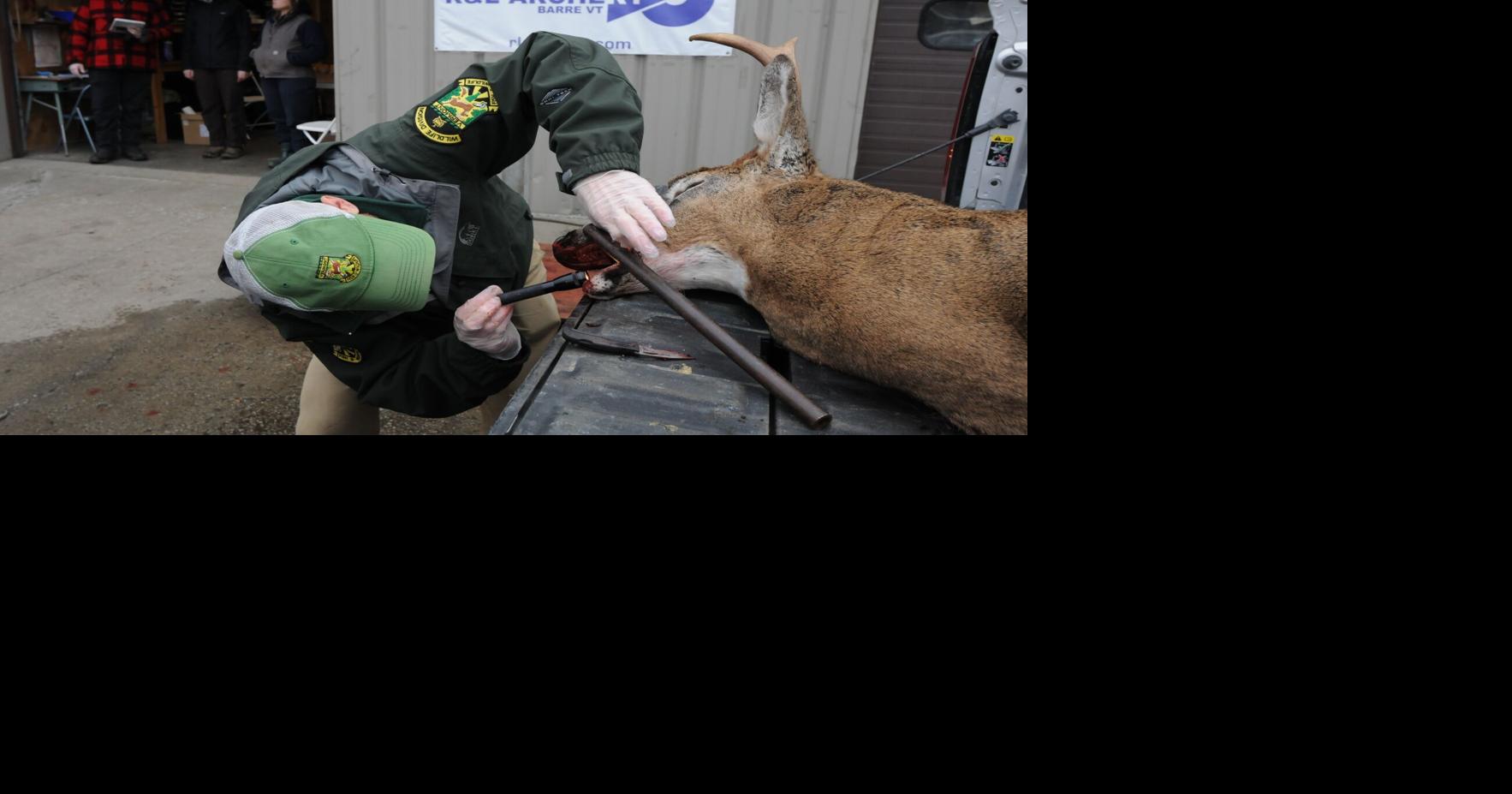 Vermont’s regular deer season starts Nov. 11 | Outdoors | reformer.com