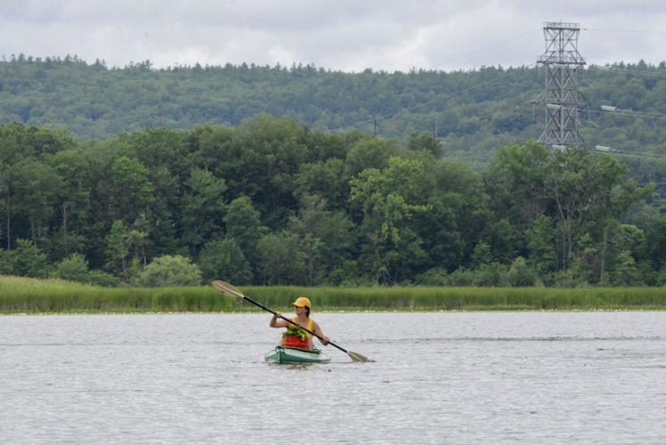 Removing an invasive species from the Connecticut River | Local News ...