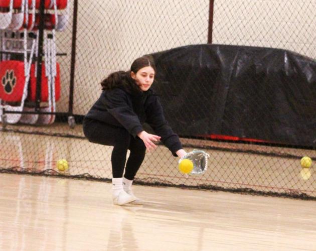 Twin Valley softball a mix of youth and experience | Sports | reformer.com