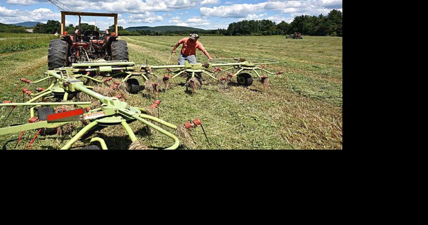 Decrease in dairy farms impacts Vt. hay crop | State | reformer.com