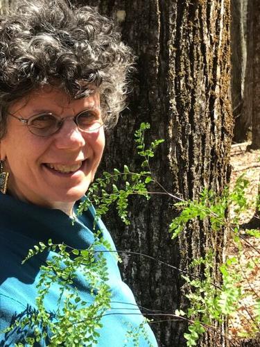 Identifying ferns with Lynn Levine | Outdoors | reformer.com