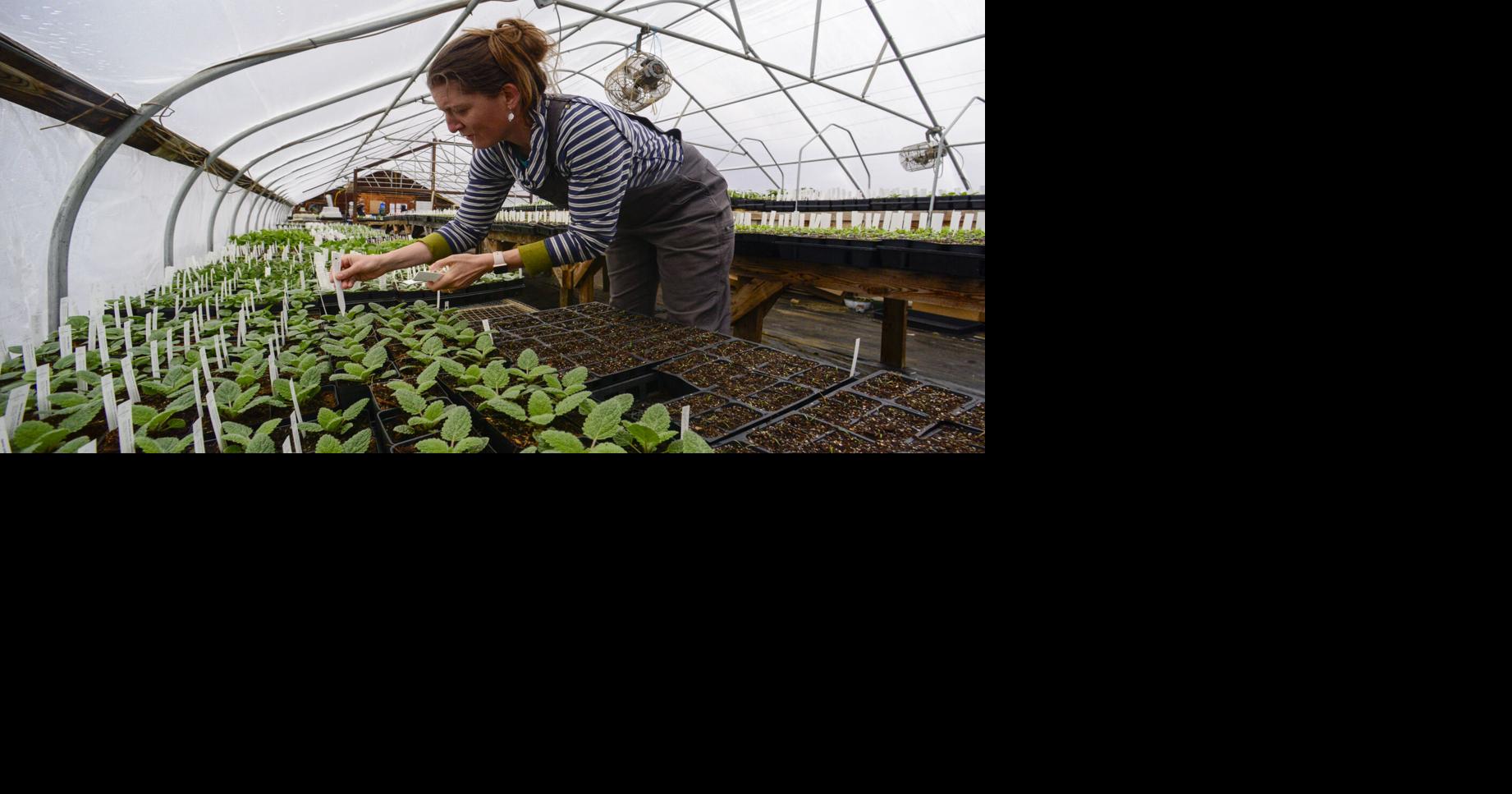 PHOTOS: Bunker Farm | Multimedia | reformer.com