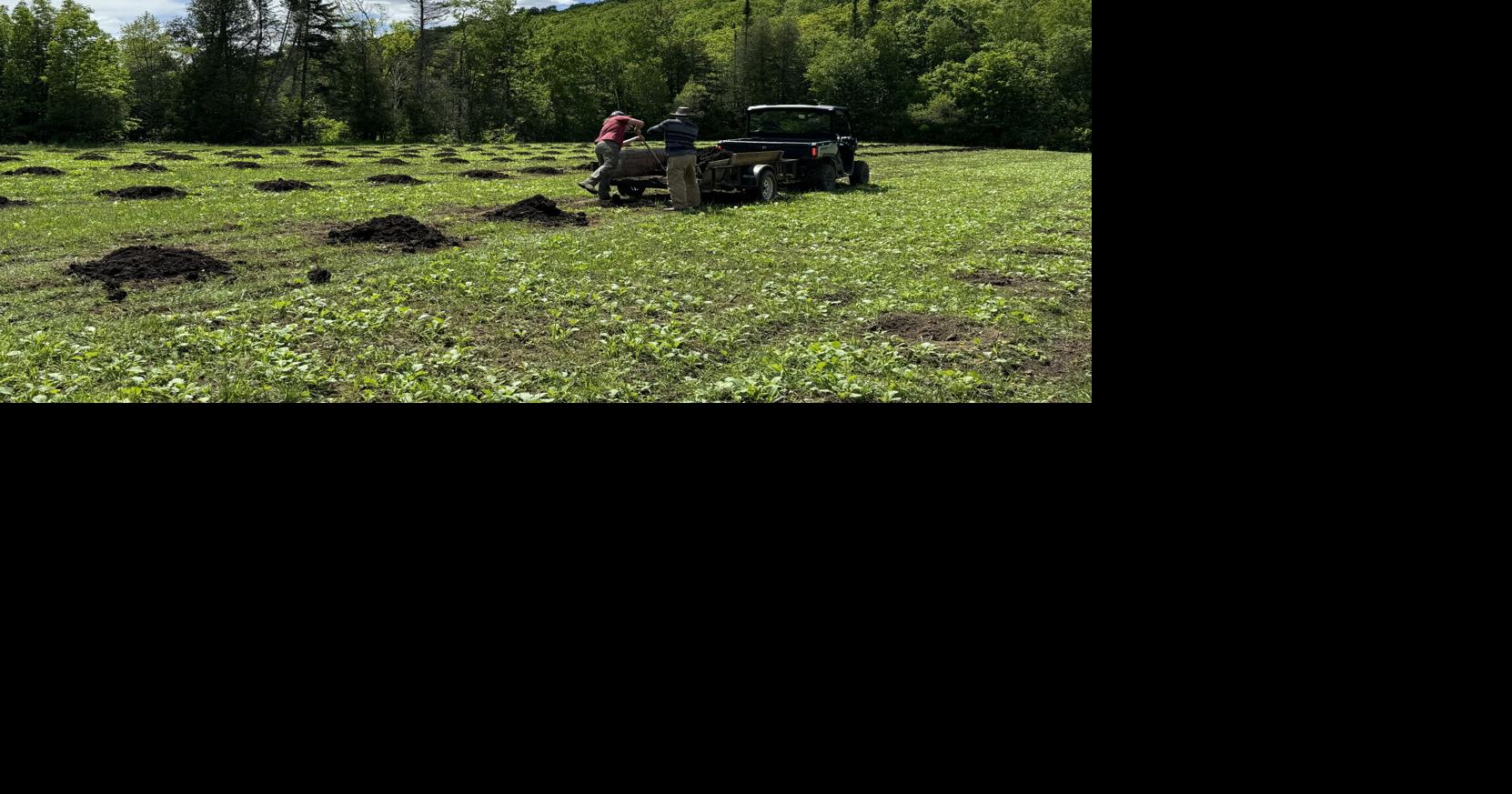 Vermont cannabis cultivators get a say at roundtable | GreenMountain ...