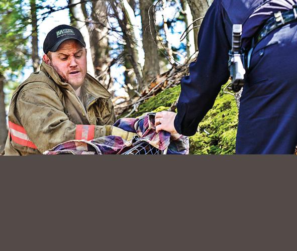 Year in Review: A wild rescue for bobcat | Local News | reformer.com