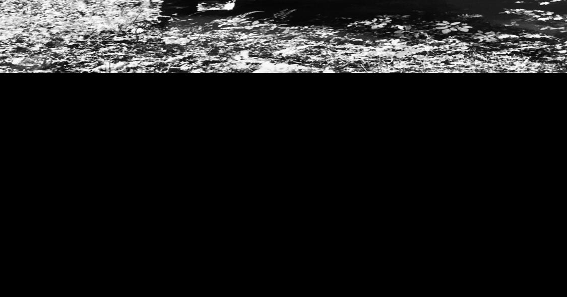 The story of Madame Sherri and the 'Castle' | Community-news | reformer.com