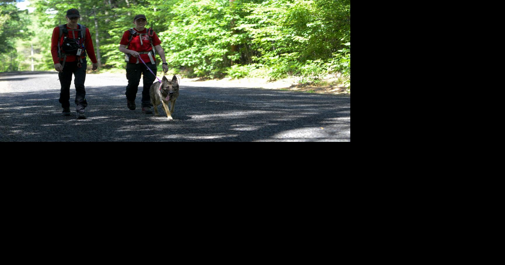 Search being scaled back for missing Chesterfield man | Local News ...