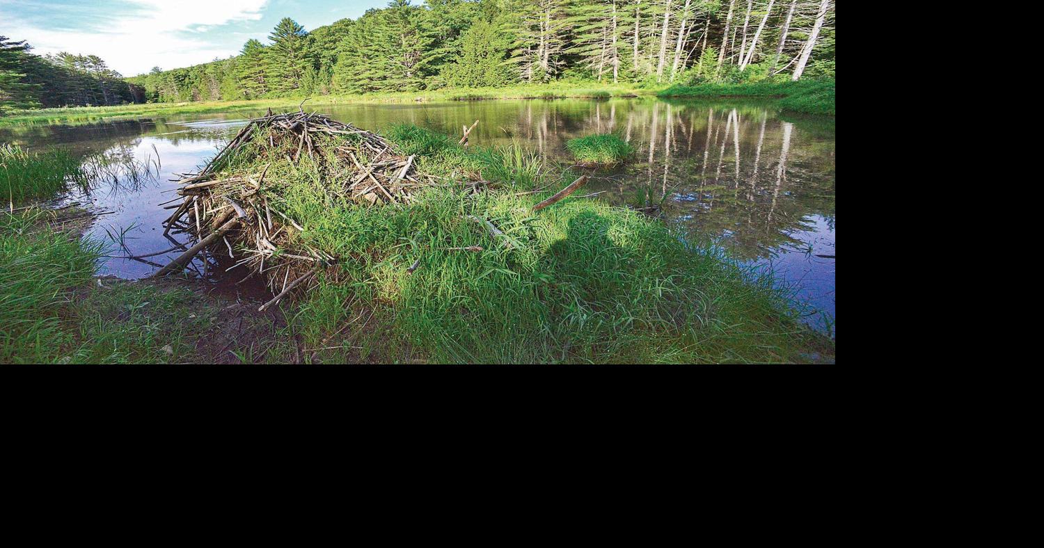 Guild Brook named in honor of longtime resident | Local News | reformer.com