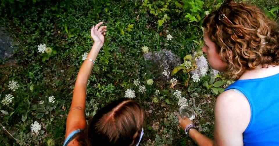 Whitingham Free Public Library hosts home purification and cleansing ...