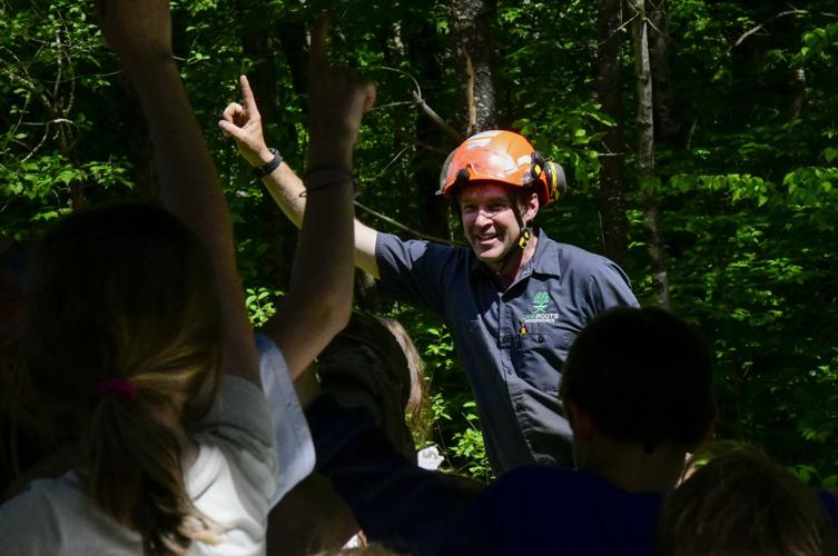 Preserving the history of an ash tree | Local News | reformer.com