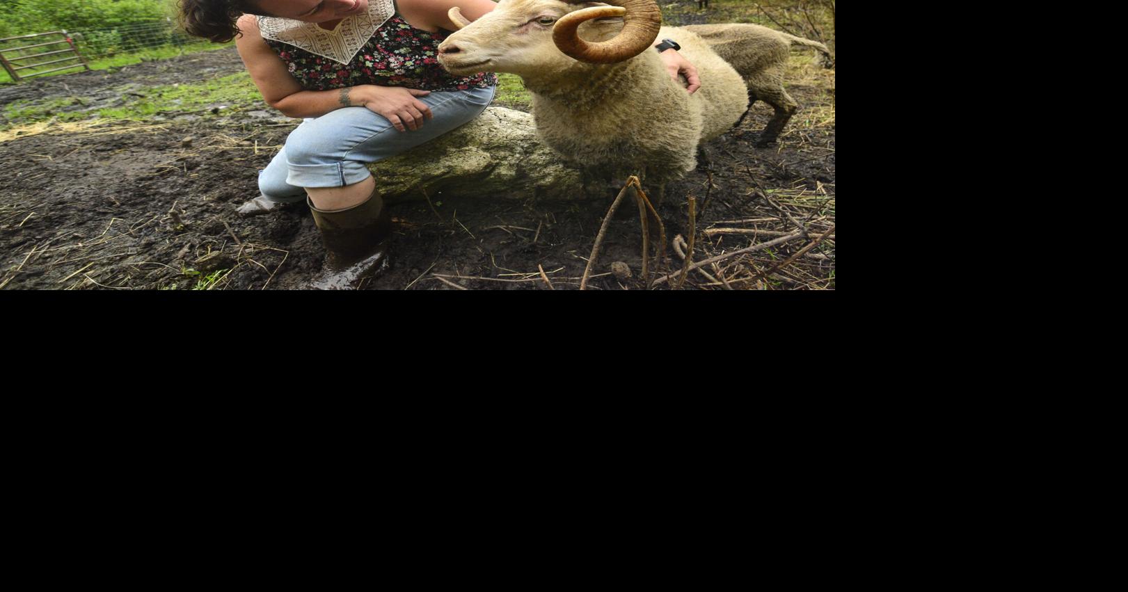 Visitors experience life on the farm | Local News | reformer.com