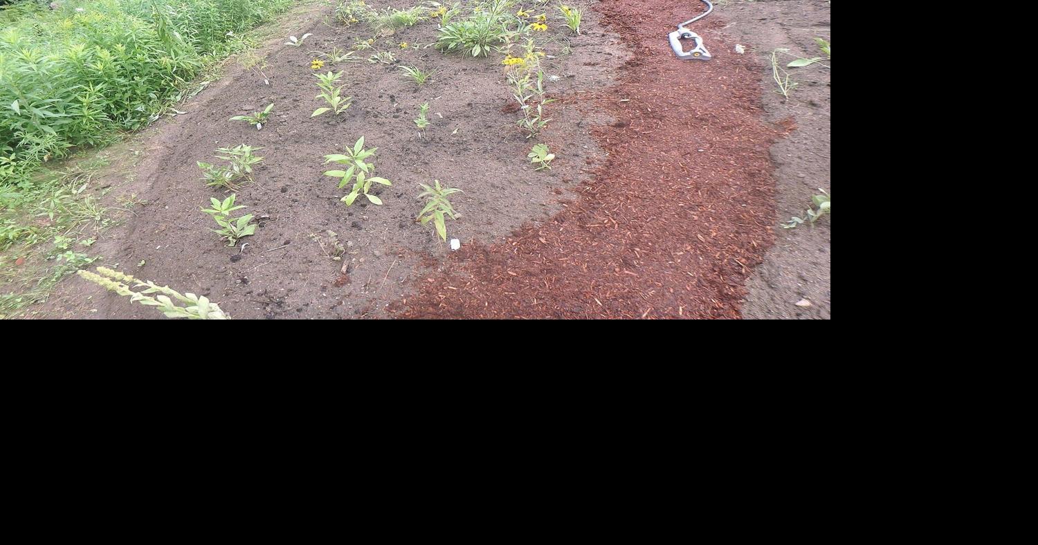 Henry Homeyer: Creating a pollinator garden | Community-news | reformer.com