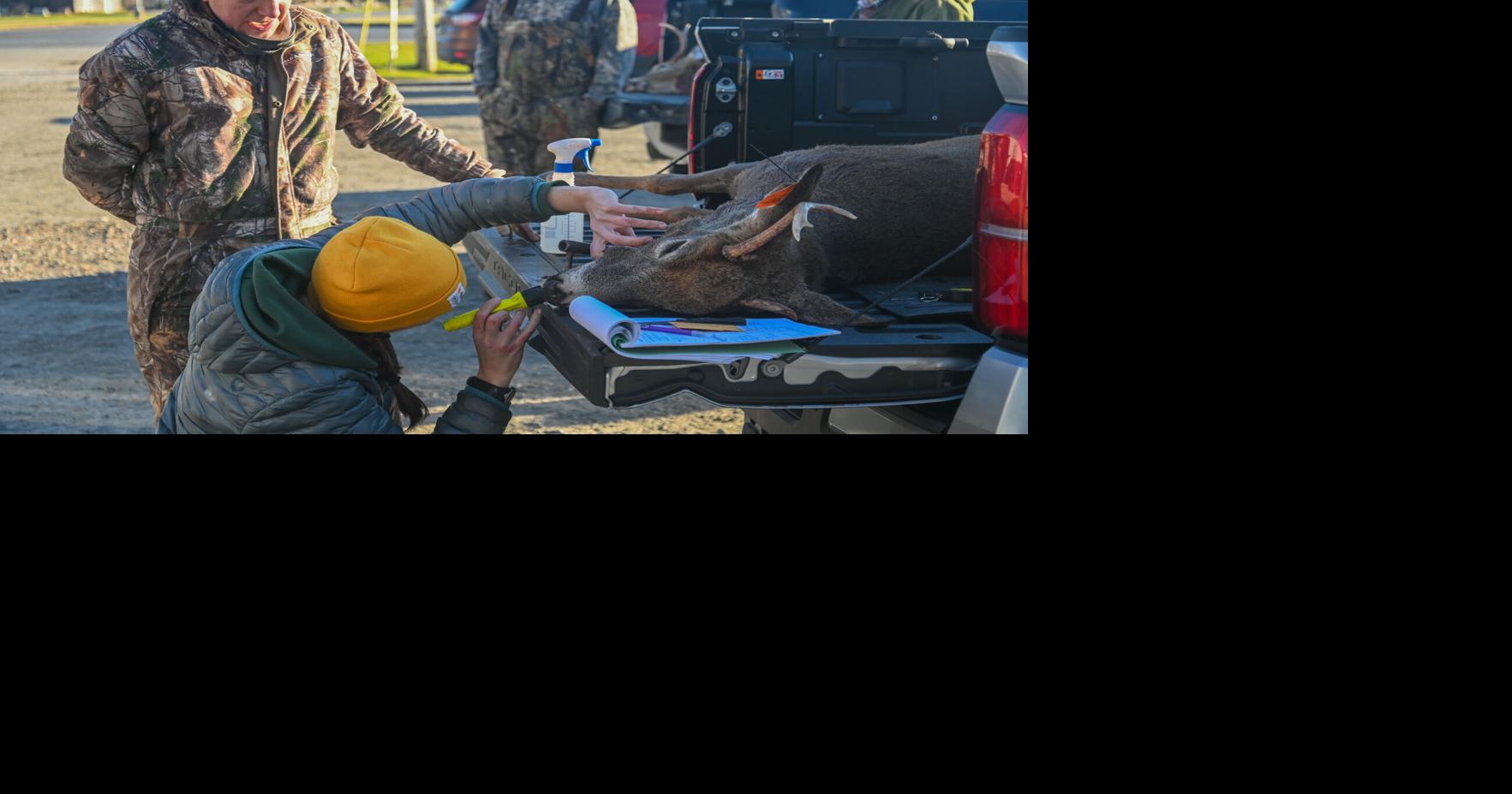 Preliminary report shows hunters took more than 17,000 deer in Vermont ...