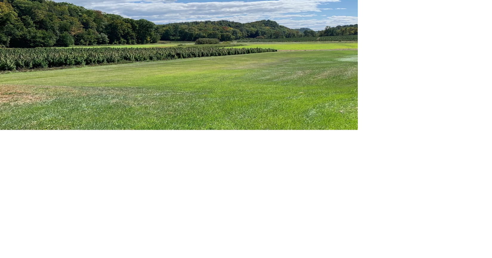 Vermont Terps: Pioneering Organic Hemp-Derived Delta 9 THC Products in ...