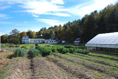 New Chapter donates thousands to HCRS’ Kindle Farm School | Business ...