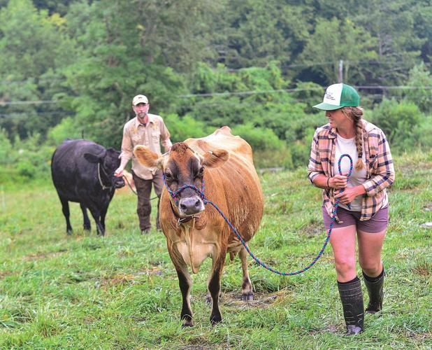 Rebop, Scott farms to open doors to public | Local News | reformer.com