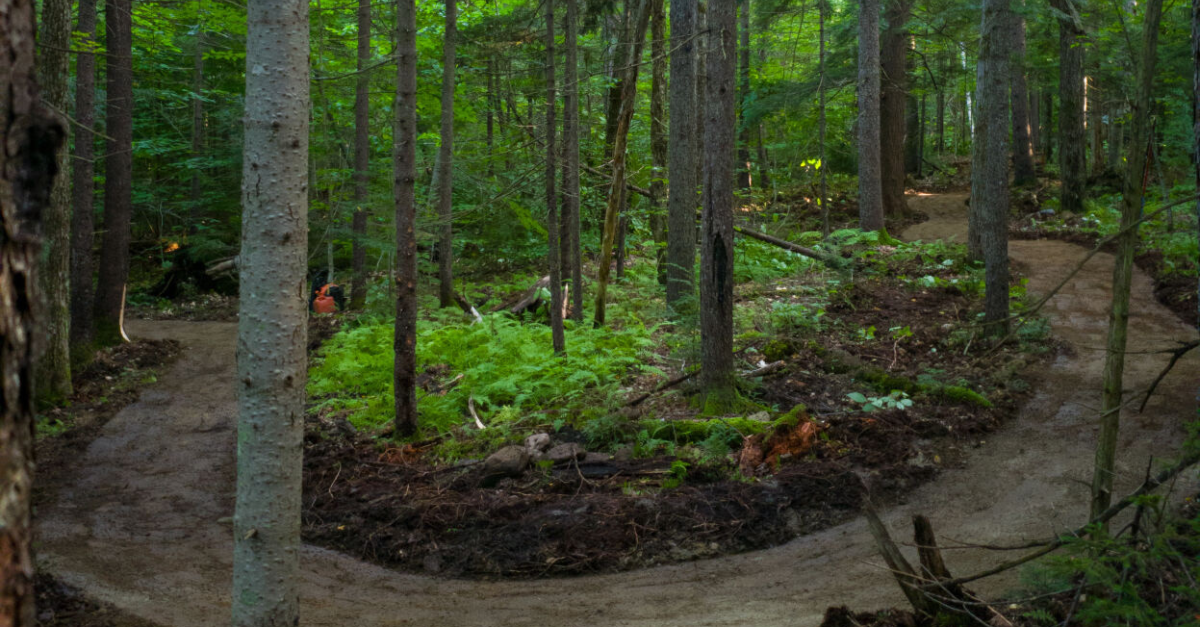 'An amazing gem': New trails come to Stratton Recreation Area ...