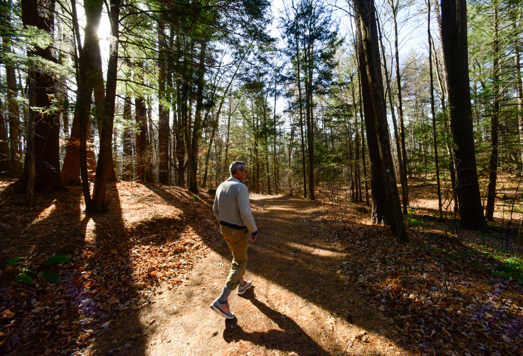 Foraging walk set for West River Trail on Saturday | Community-news ...