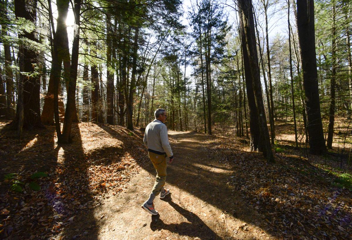 Foraging walk set for West River Trail on Saturday | Community-news ...