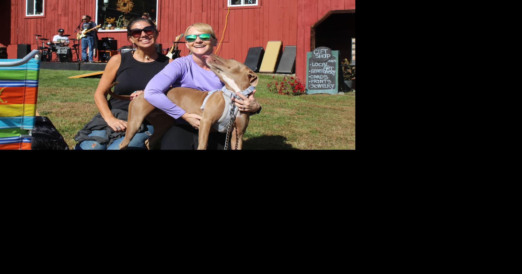 Bud Barn celebrates three years open | GreenMountain Vermont Cannabis ...