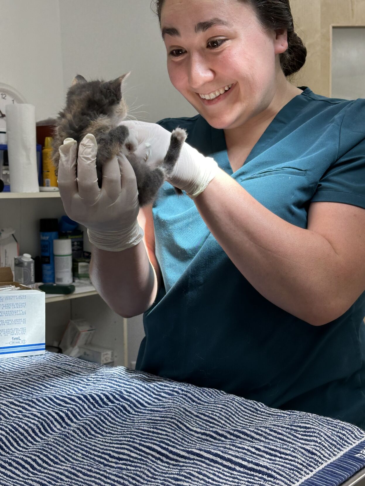 Windham County Humane Society welcomes Dr. Alyssa Cote | Business ...