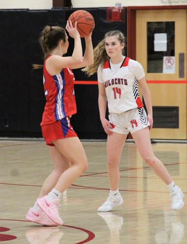 Roundup: Wildcats drop tight game at home | Sports | reformer.com