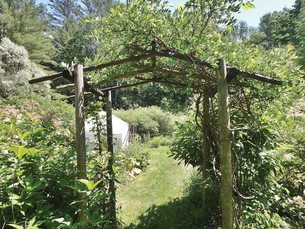 Henry Homeyer: Five tips for building a garden arbor | Opinion ...