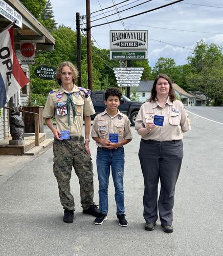 West River Valley Thrives, Scout Troop 428 team up for Sticker Shock ...