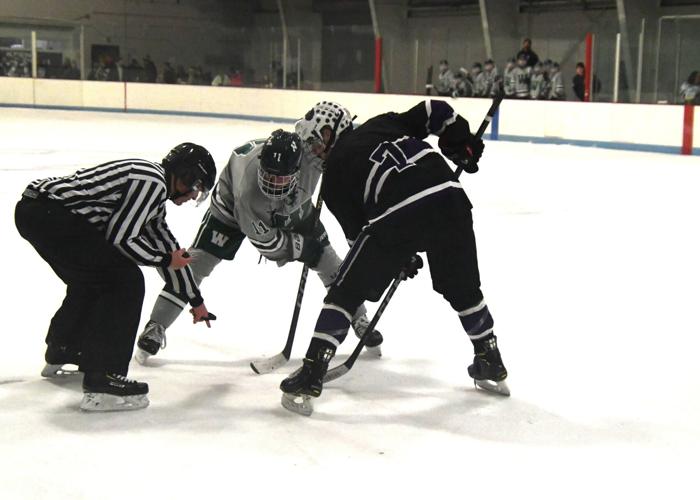 Wright leads Bears to win over Wasps on senior night | Sports ...