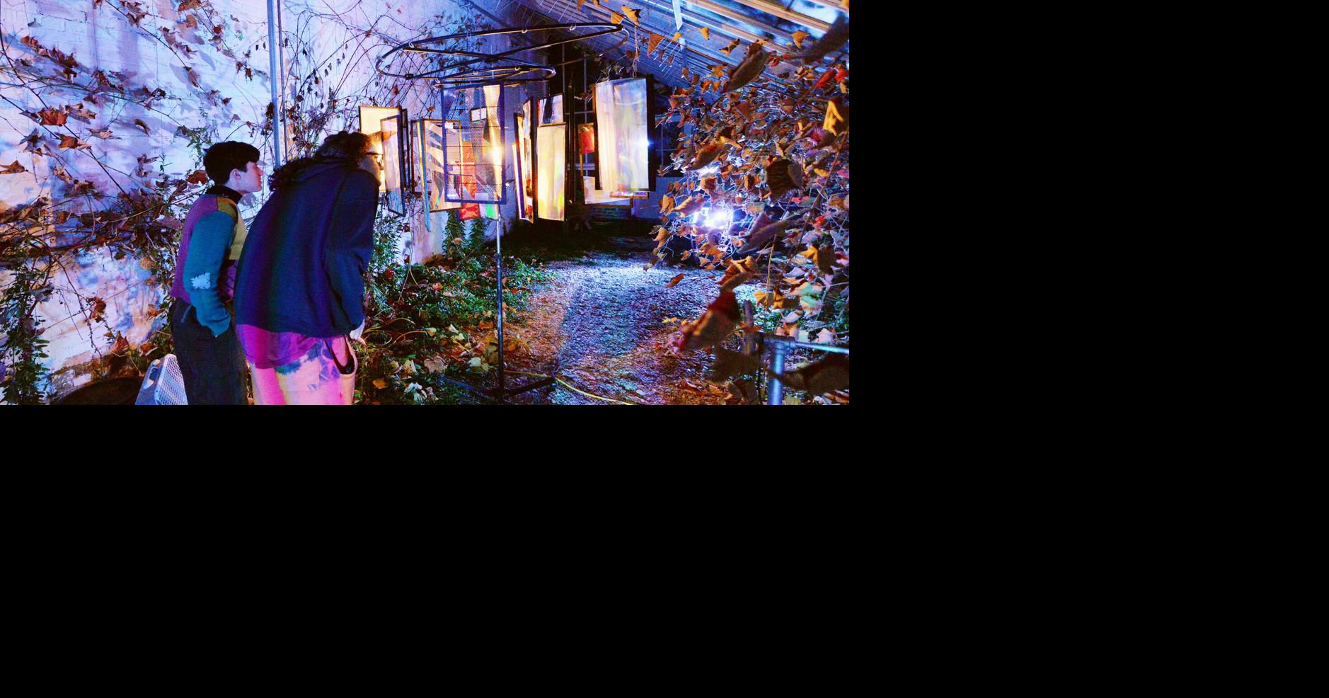 'If you miss it, it’s gone': Outdoor light, sound exhibit inspires ...