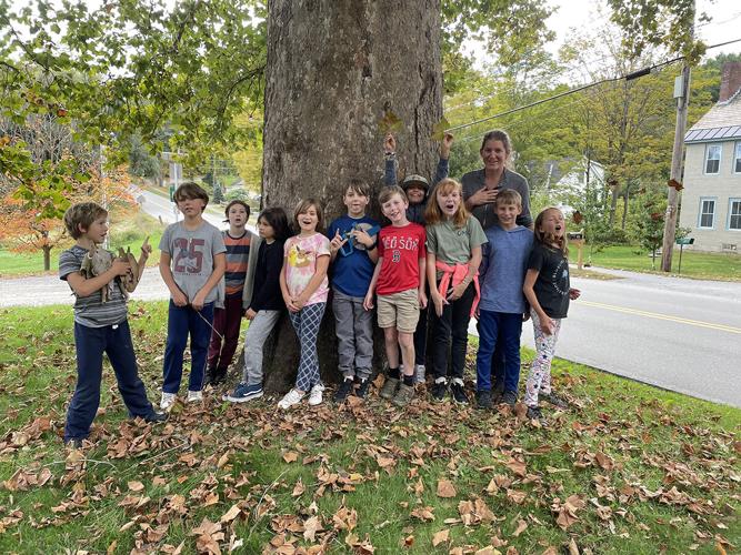 Celebrating the big trees of Putney: Big Tree Quest winners announced ...