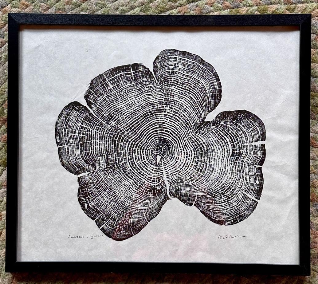 Putney Library presents Chonicles in Wood exhibit | Community-news | reformer.com