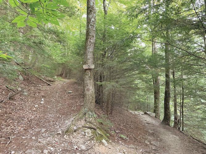 The long hike to Bourn Pond | Outdoors | reformer.com