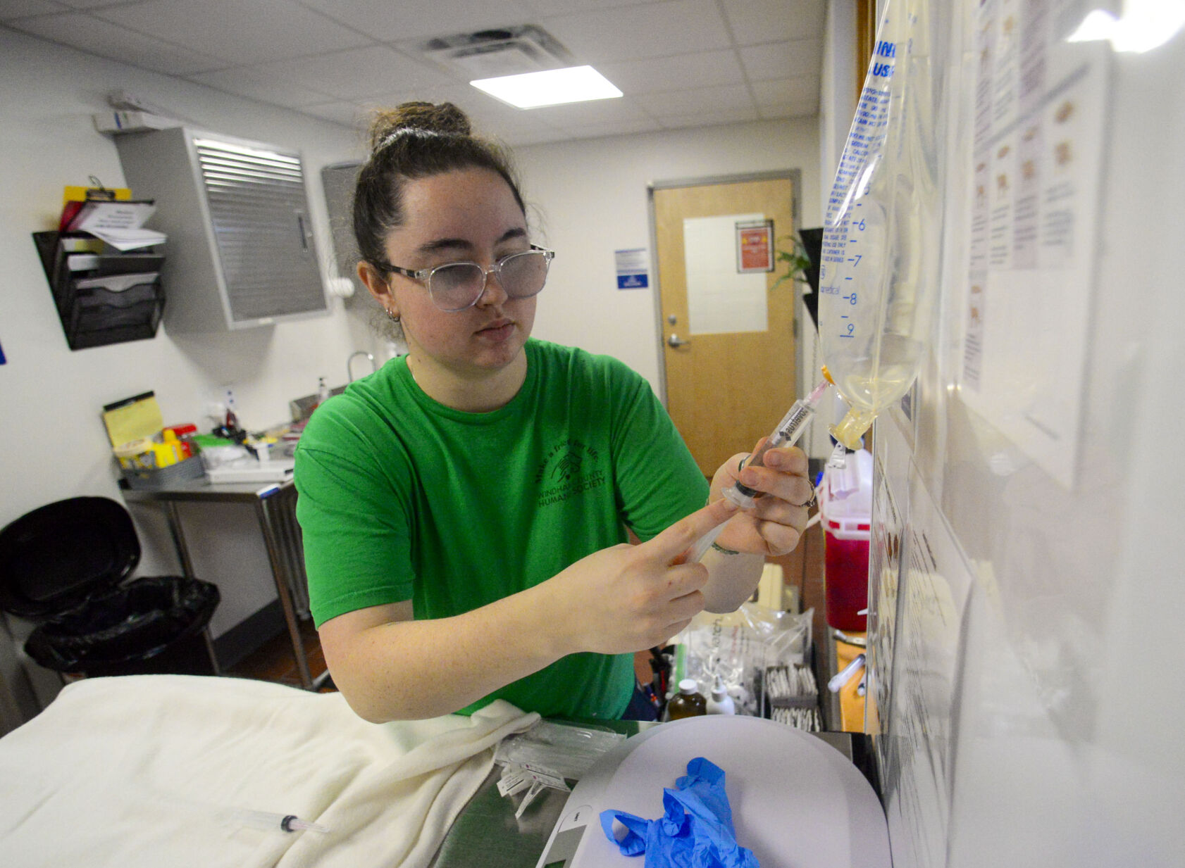Community Profile by Gordon Hayward: Hayley Hescock follows her passion ...