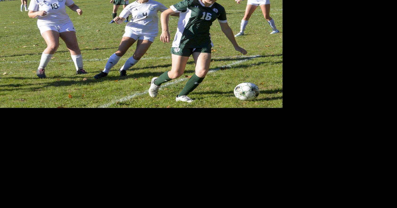 PHOTOS: Leland & Gray hosts Sharon Academy | Multimedia | reformer.com