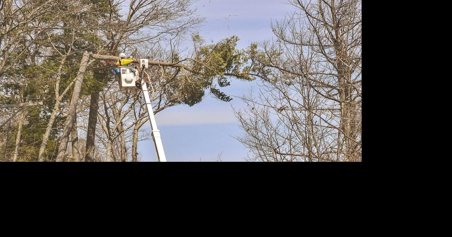 Photos: Tree bursts into flames | Local News | reformer.com