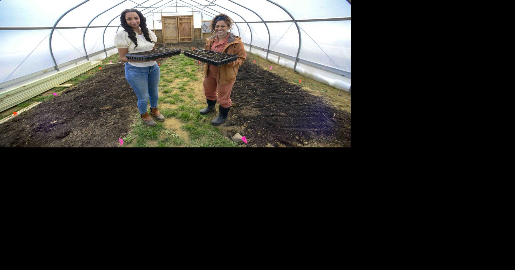 Afro-Indigenous farm plants roots in Newfane | Local News | reformer.com