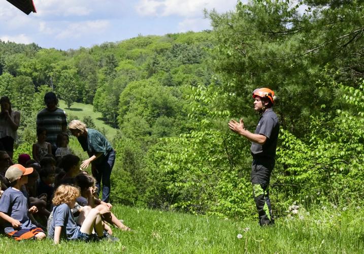 Preserving the history of an ash tree | Local News | reformer.com