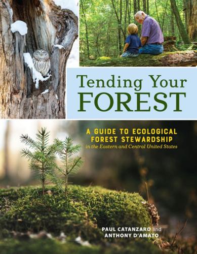 Tending Your Forest: A Guide to Ecological Forest Stewardship ...