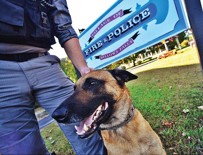 'He was just our dog': End of watch for Bellows Falls K9 Caesar | Local ...