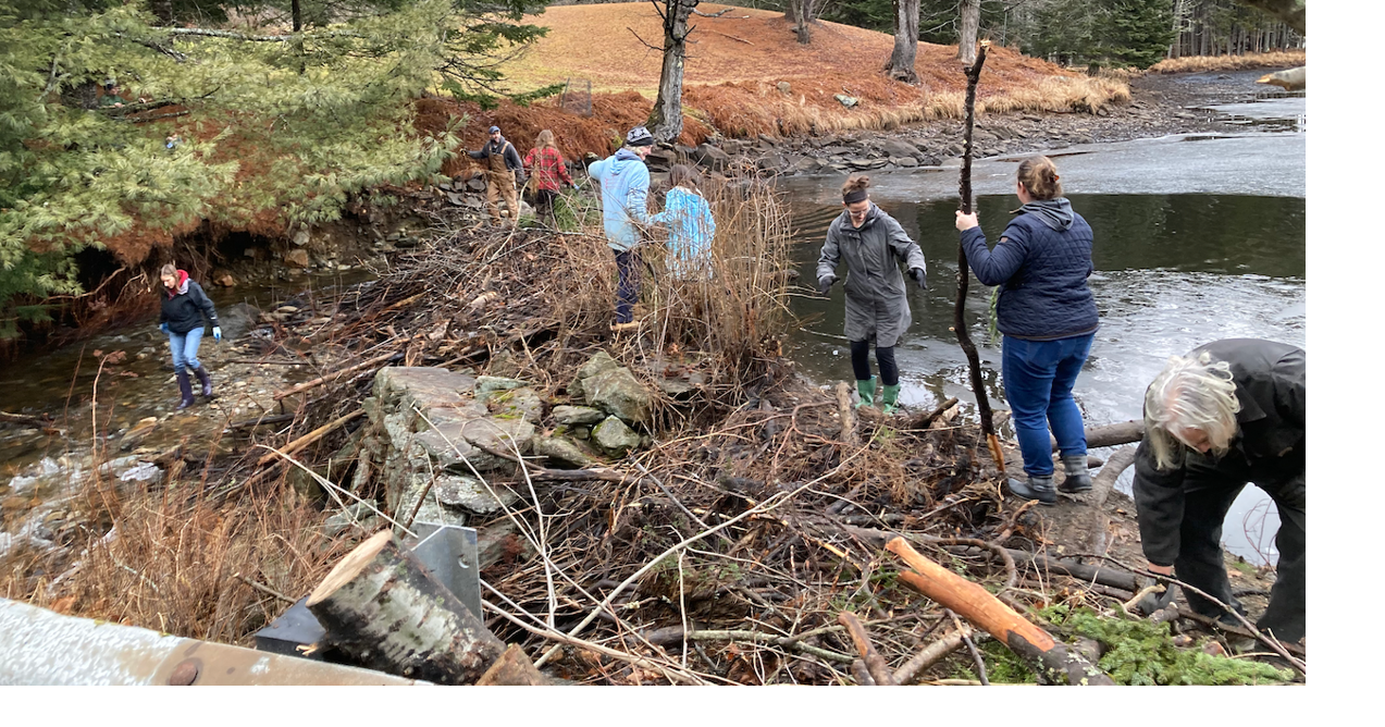 Patti Smith | The View from Heifer Hill: A fine dam crew | Outdoors ...