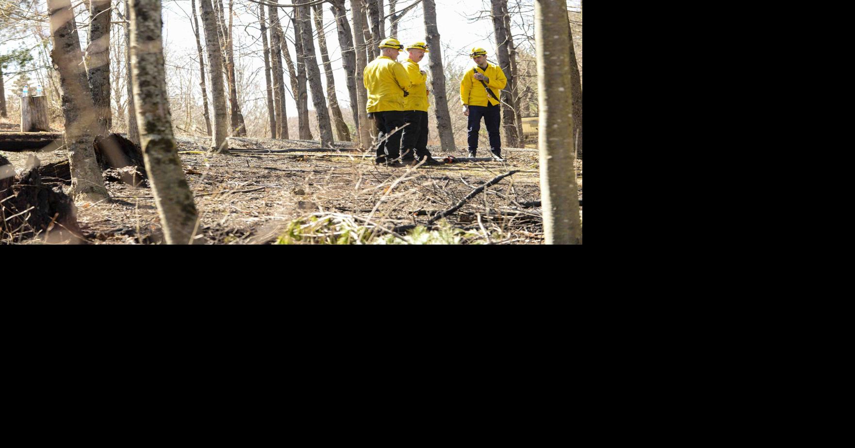 Wind sparks a brush fire in Brattleboro | Local News | reformer.com